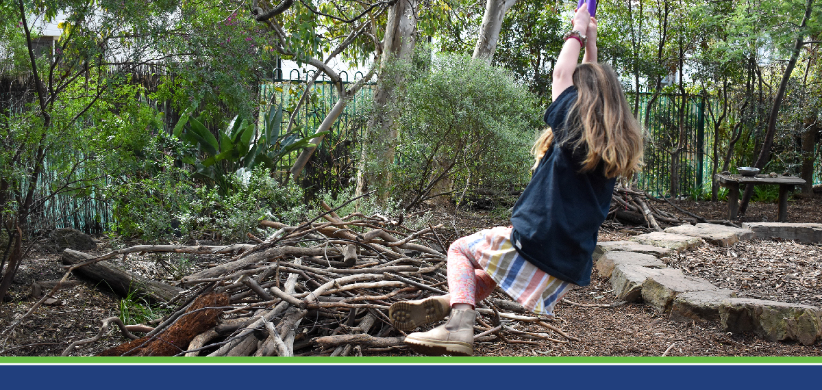 All courses | ECA Learning Hub